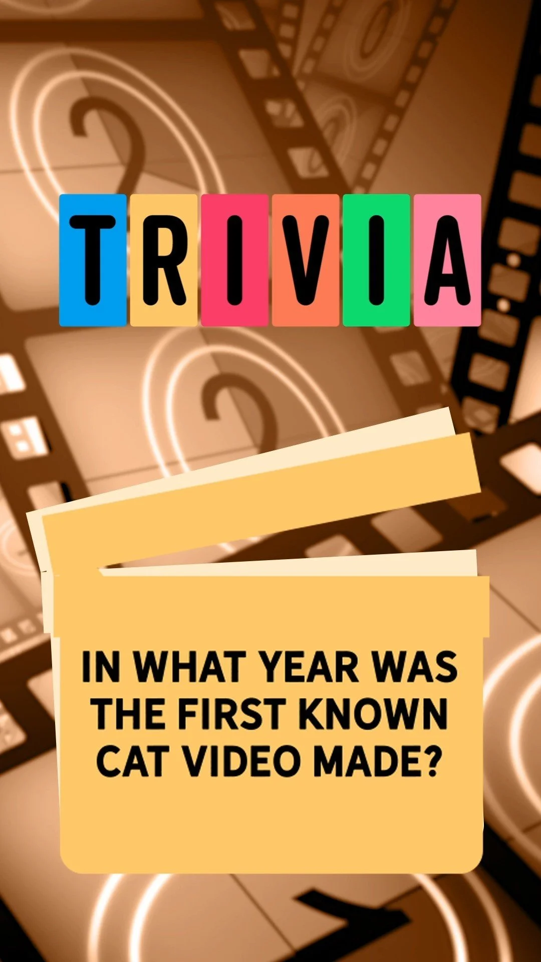 How to Create a Cat Utopia — Evolve Pet Food