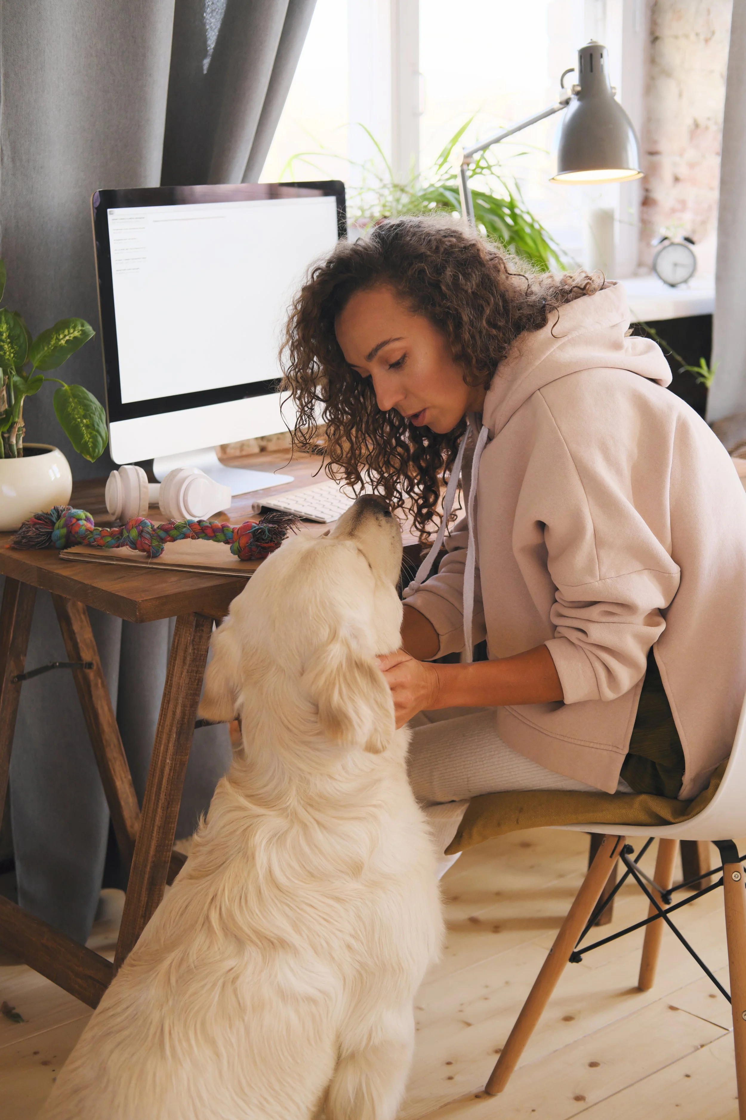 Key Benefits to Taking Your Dog to Work — Evolve Pet Food