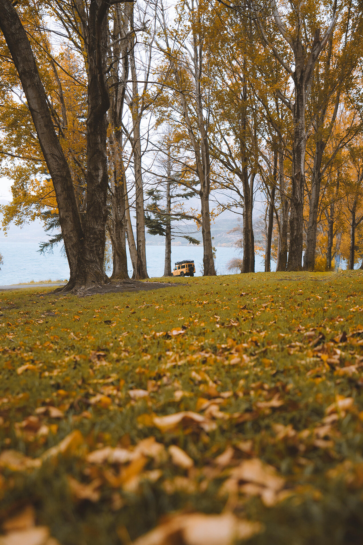 6 Best Autumn Locations by Queenstown — Marie Valencia
