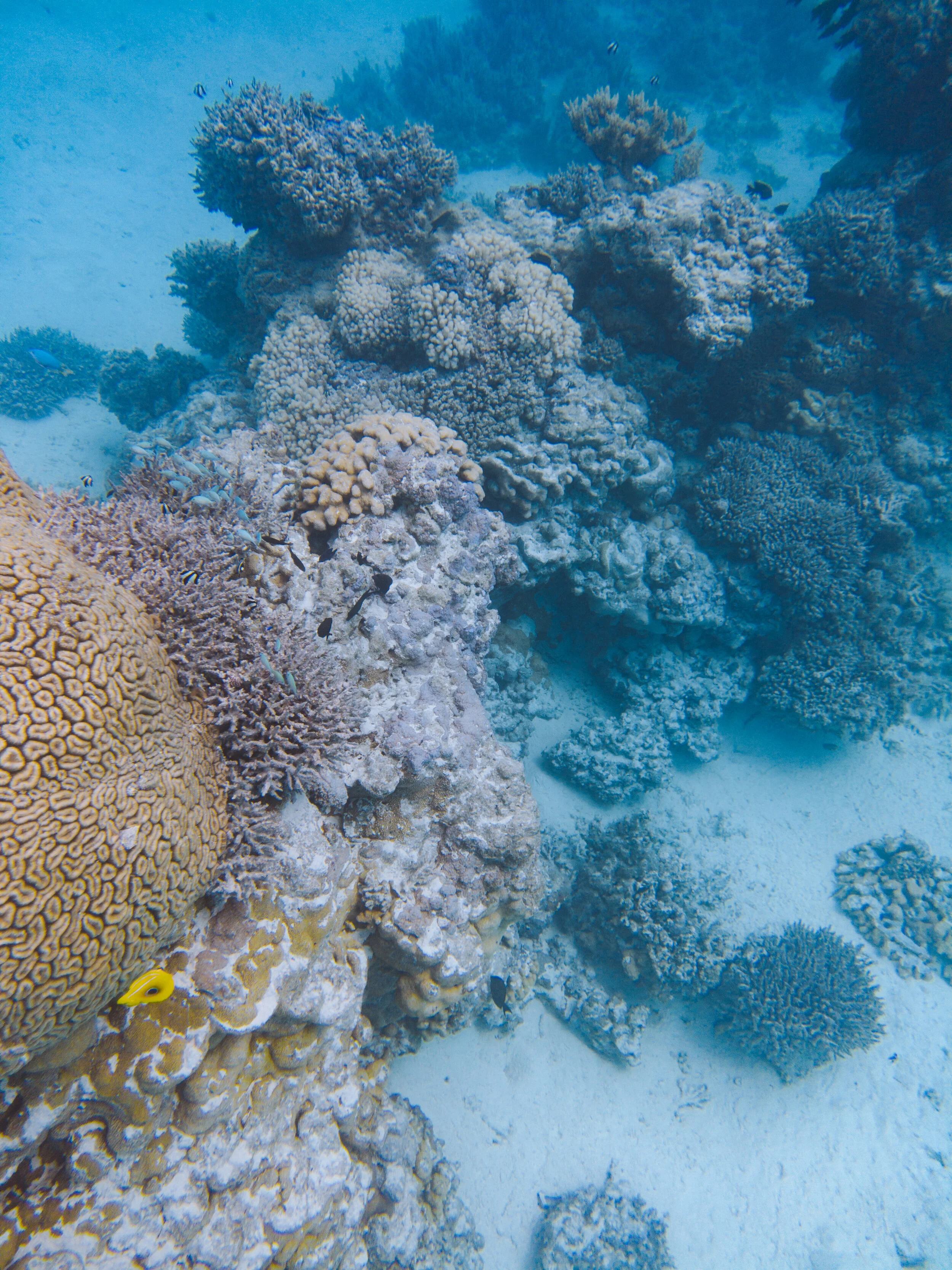 A Guide to Aitutaki — Marie Valencia
