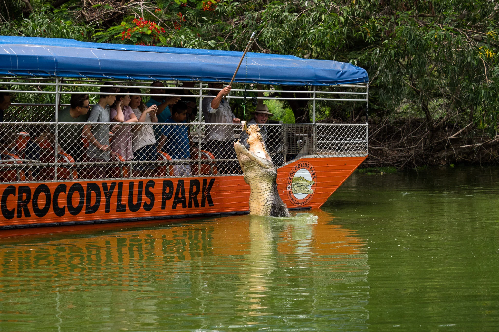 Crocodylus Park | Crocodile and Wildlife Park in Darwin, NT