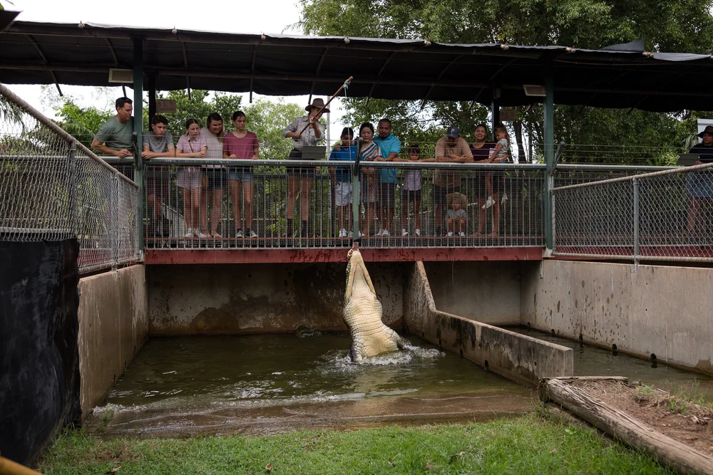 Crocodylus Park | Crocodile and Wildlife Park in Darwin, NT