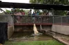 Crocodylus Park | Crocodile and Wildlife Park in Darwin, NT