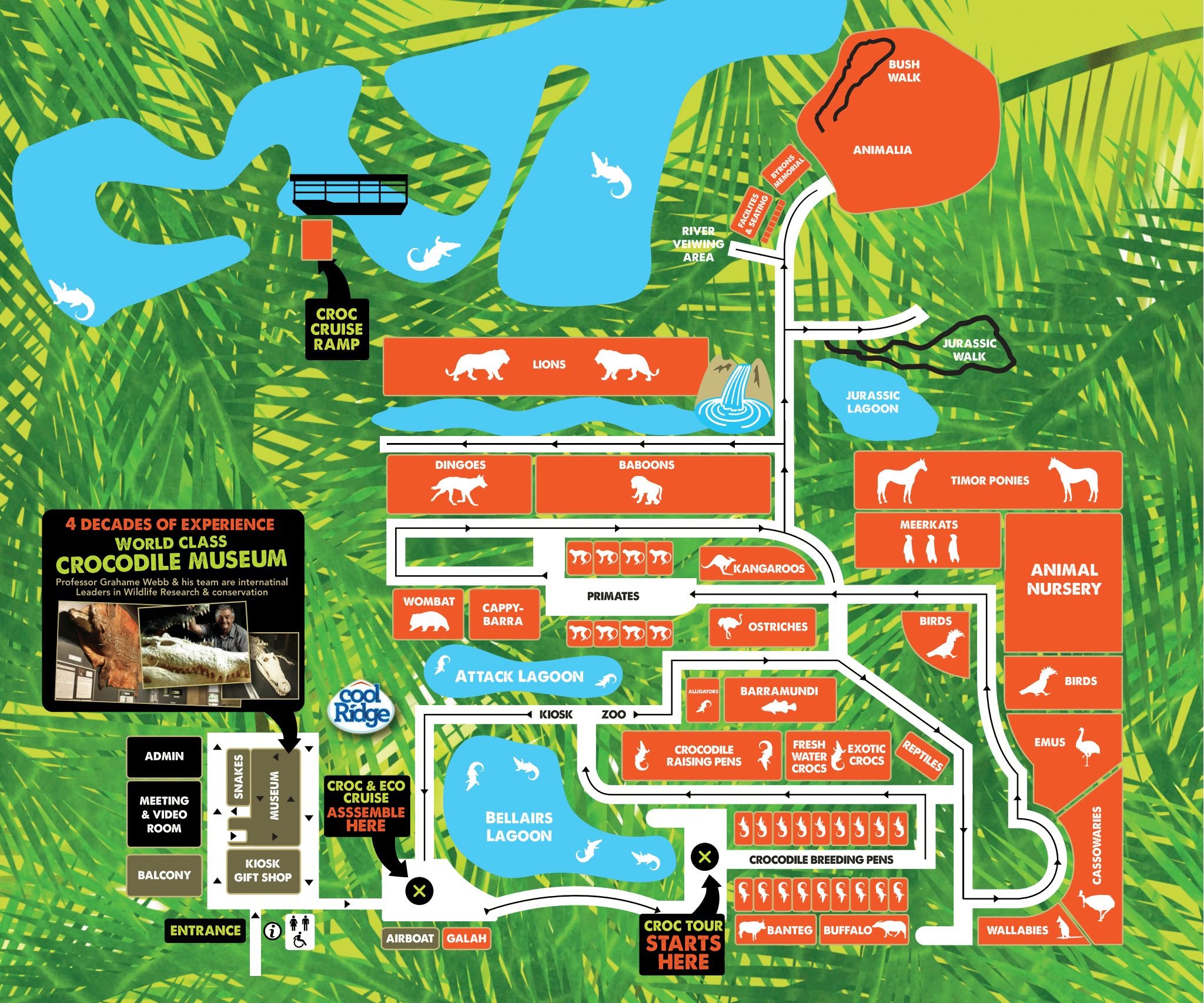 Visit — Crocodylus Park