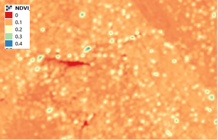 Find and Monitor Tree Crops for Sustainability