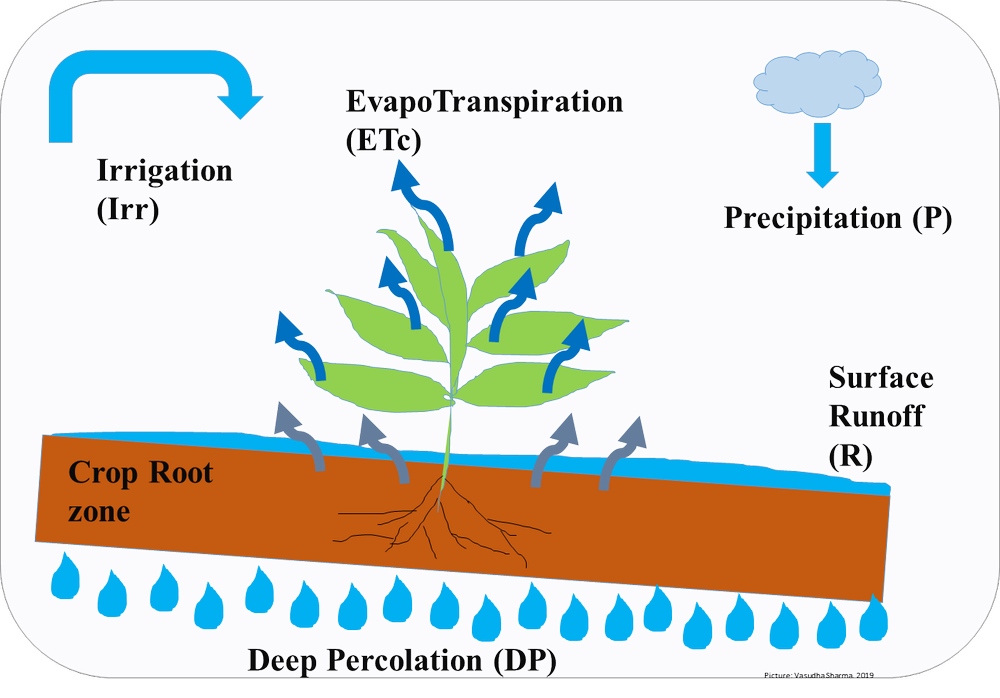 How to optimize irrigation water use with evapotranspiration monitoring