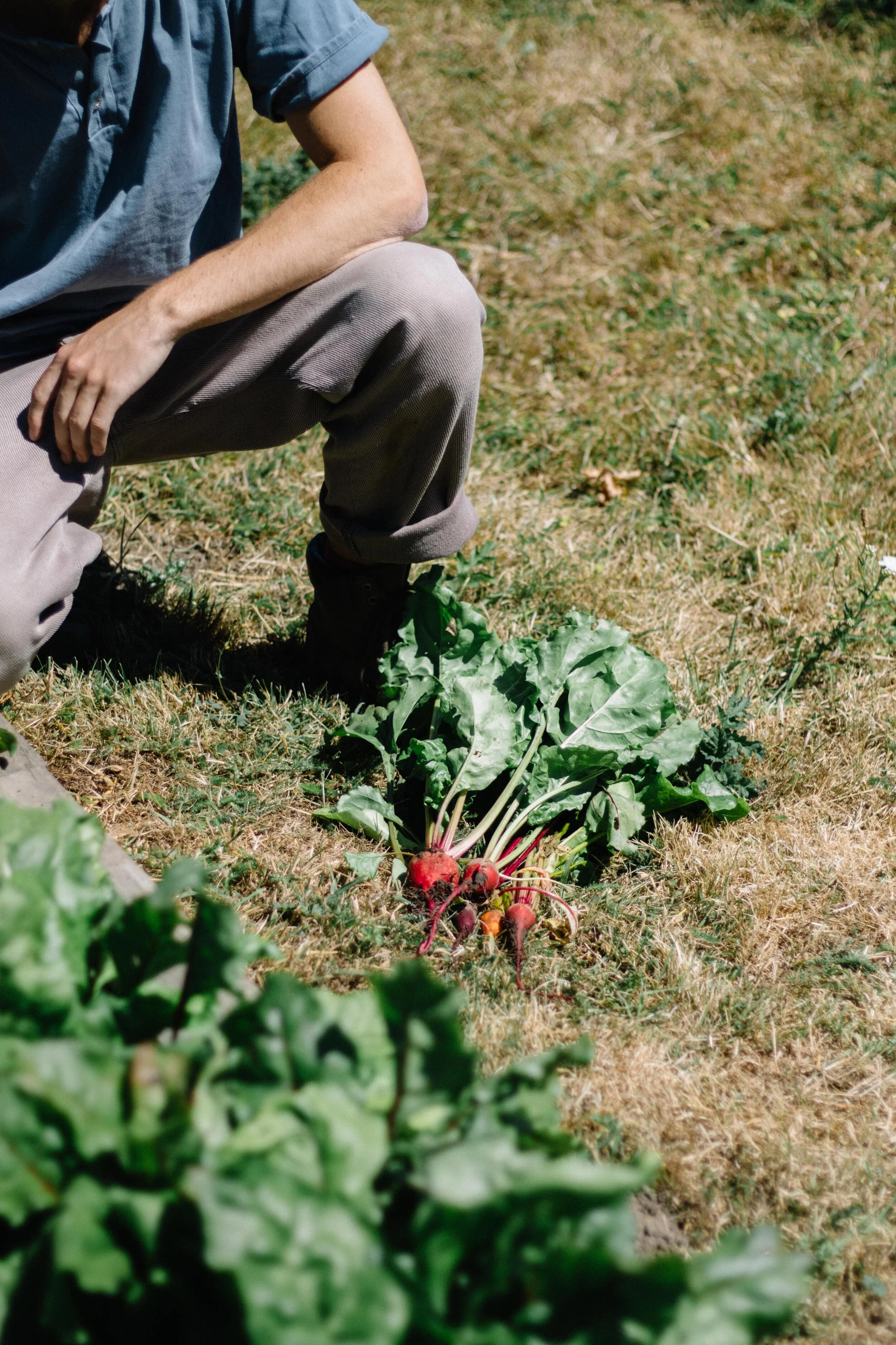 An Interview with Julius Roberts — Table Magazine