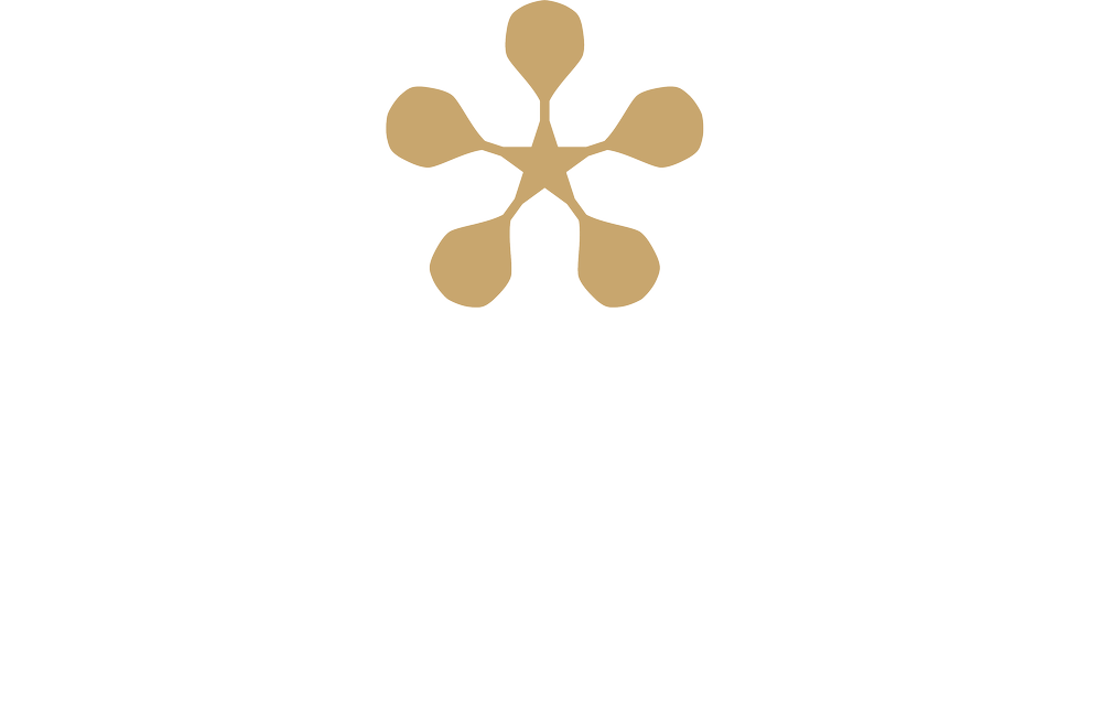 Premier Padel Sports Brand Design - Tidy Agency — The Tidy Agency