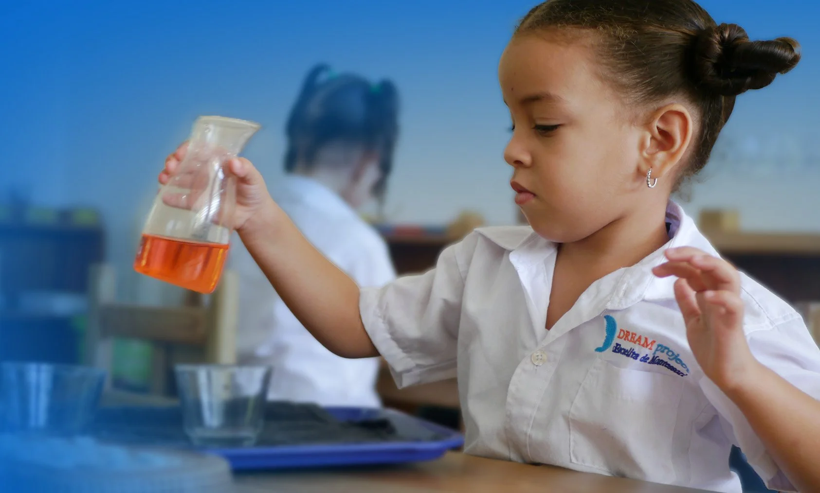 The DREAM Project: Education and Mentoring in the DR.