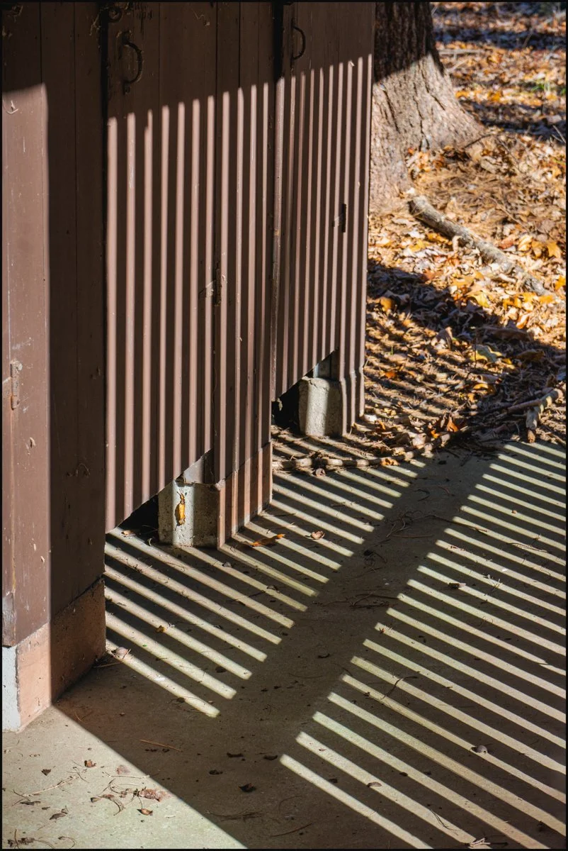 Briarcliff Manor and the Girl Scouts Movement, Part 2: Camp Andrée ...