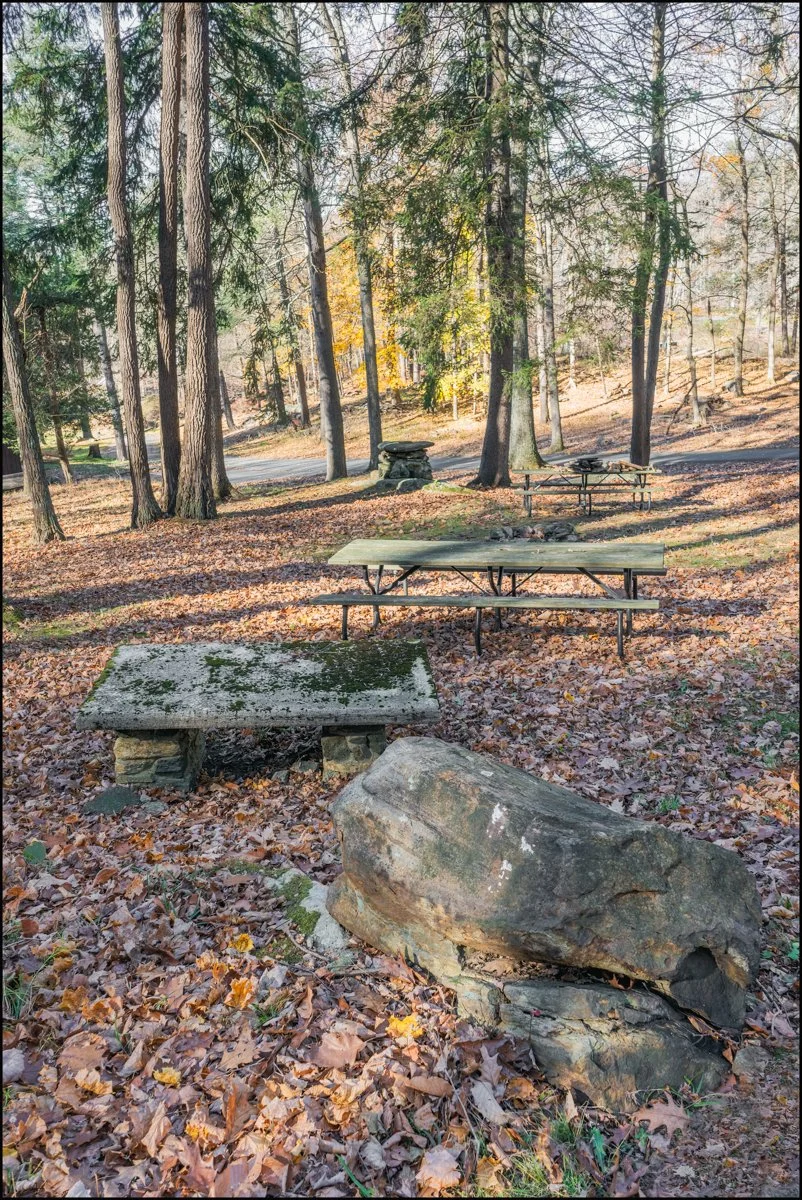 Briarcliff Manor and the Girl Scouts Movement, Part 2: Camp Andrée ...