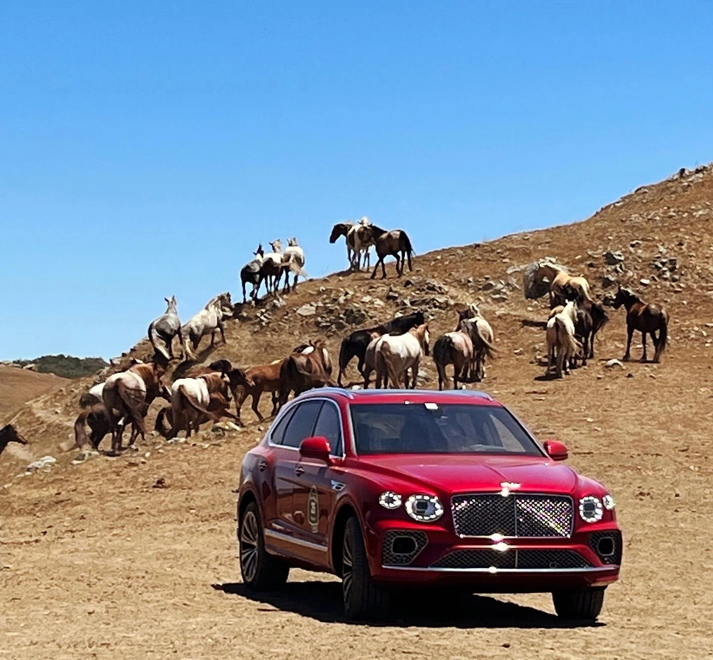 Radius Driving | Experiential Activation + Drive Design + Content Creators