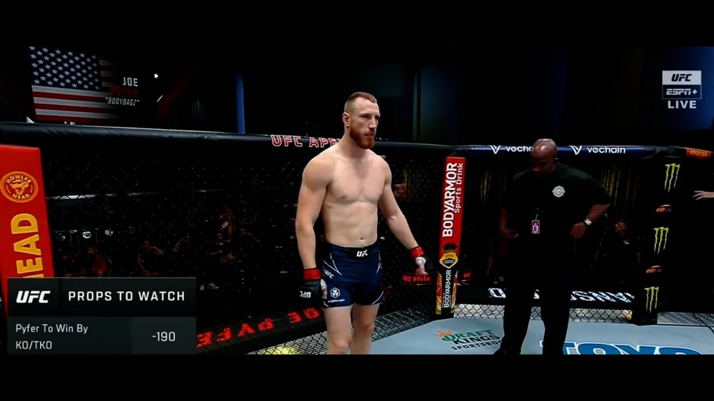 Journey to the UFC — BIG Media