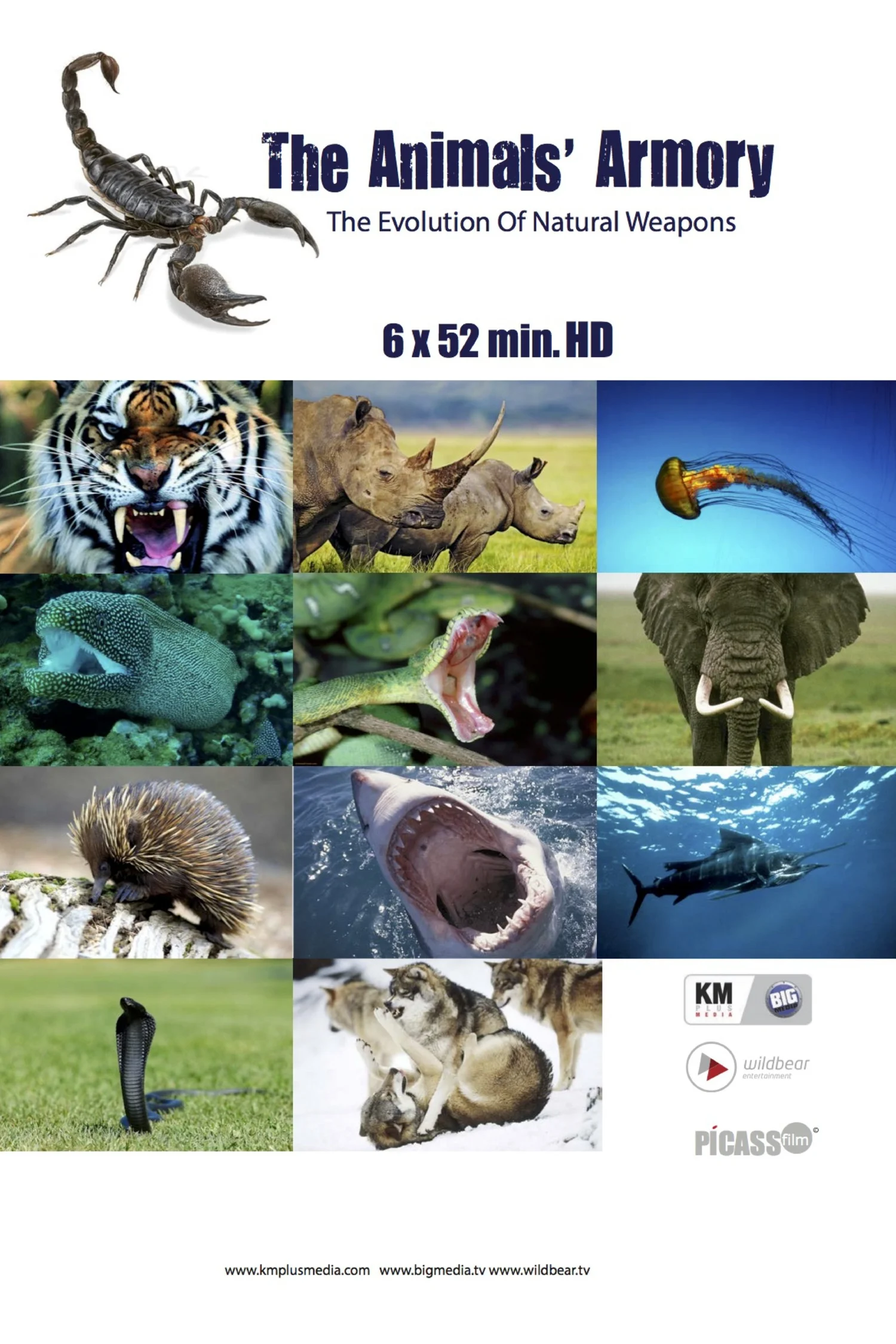 Wildlife — BIG Media