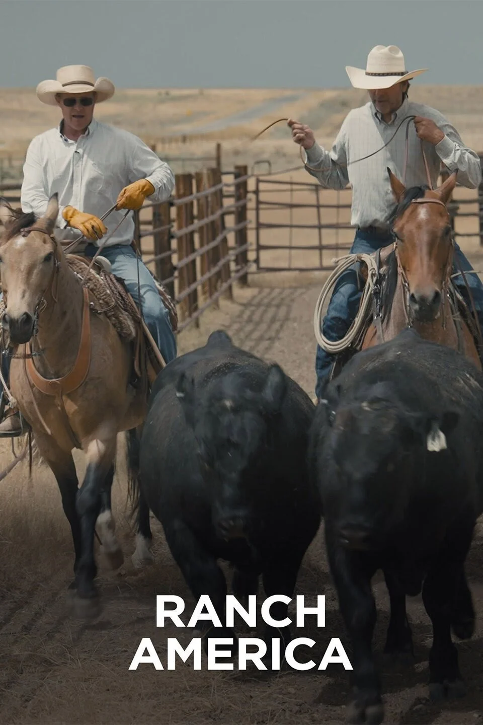 New Releases — BIG Media