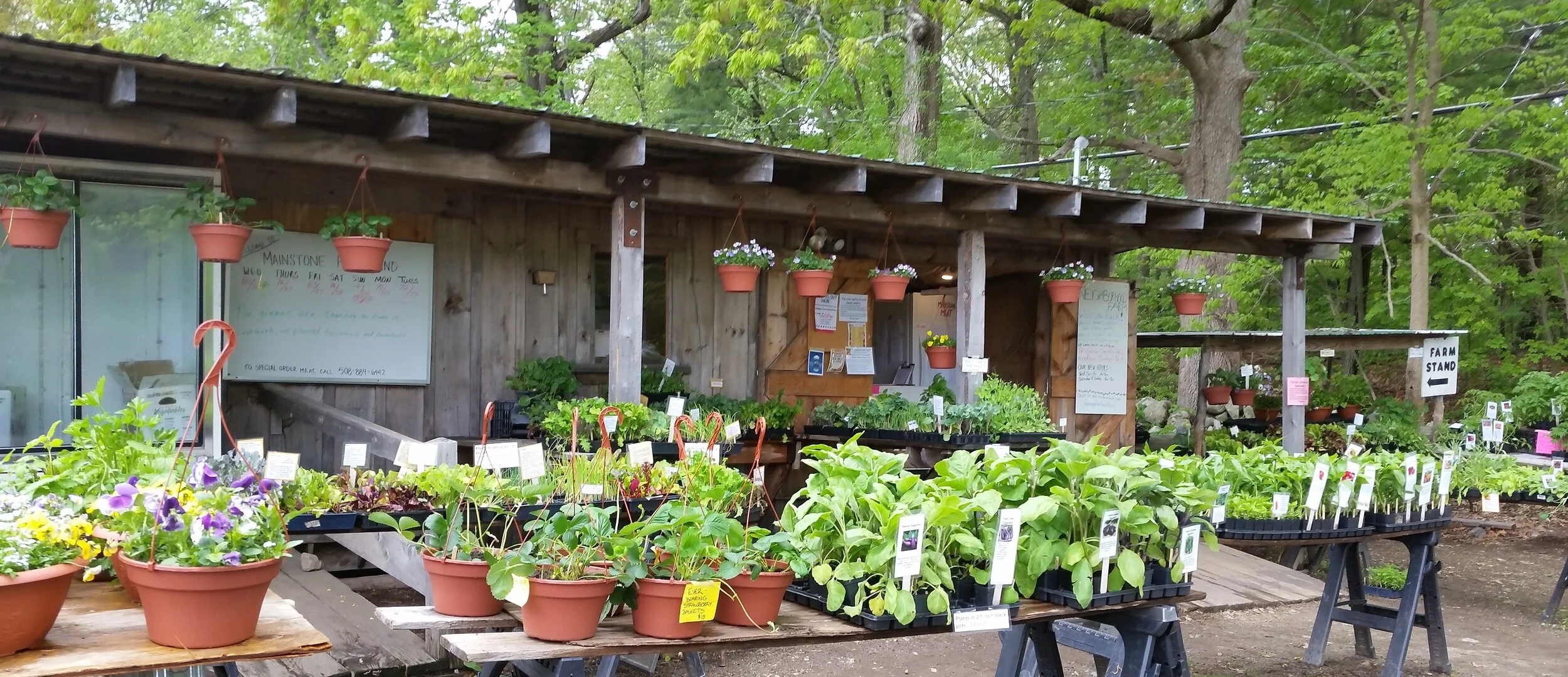 The Neighborhood Farm