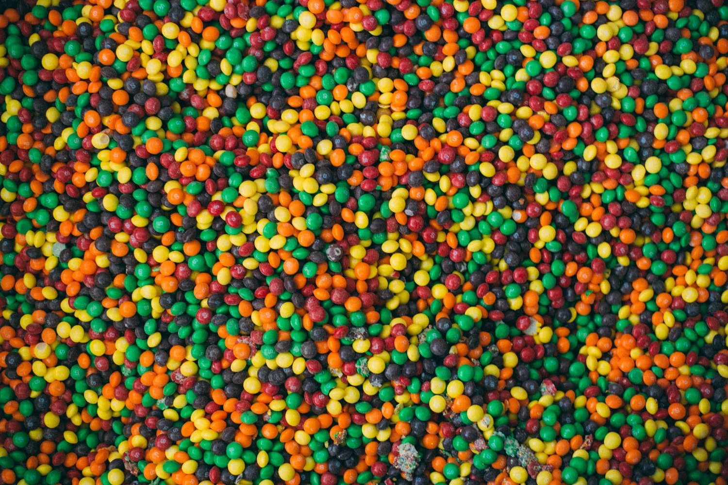 Commercial Food Waste Collection — Recycle Revolution - Dallas ...