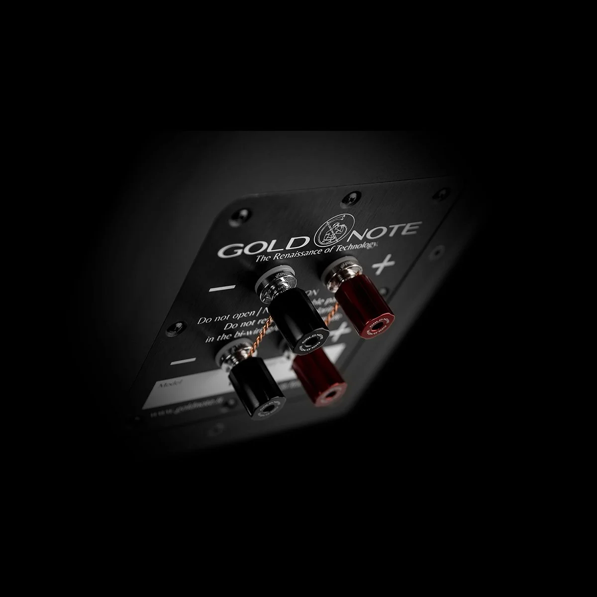 THE GOLD NOTE A3 EVO II Speakers - REVIEW — AUDIOKEY REVIEWS