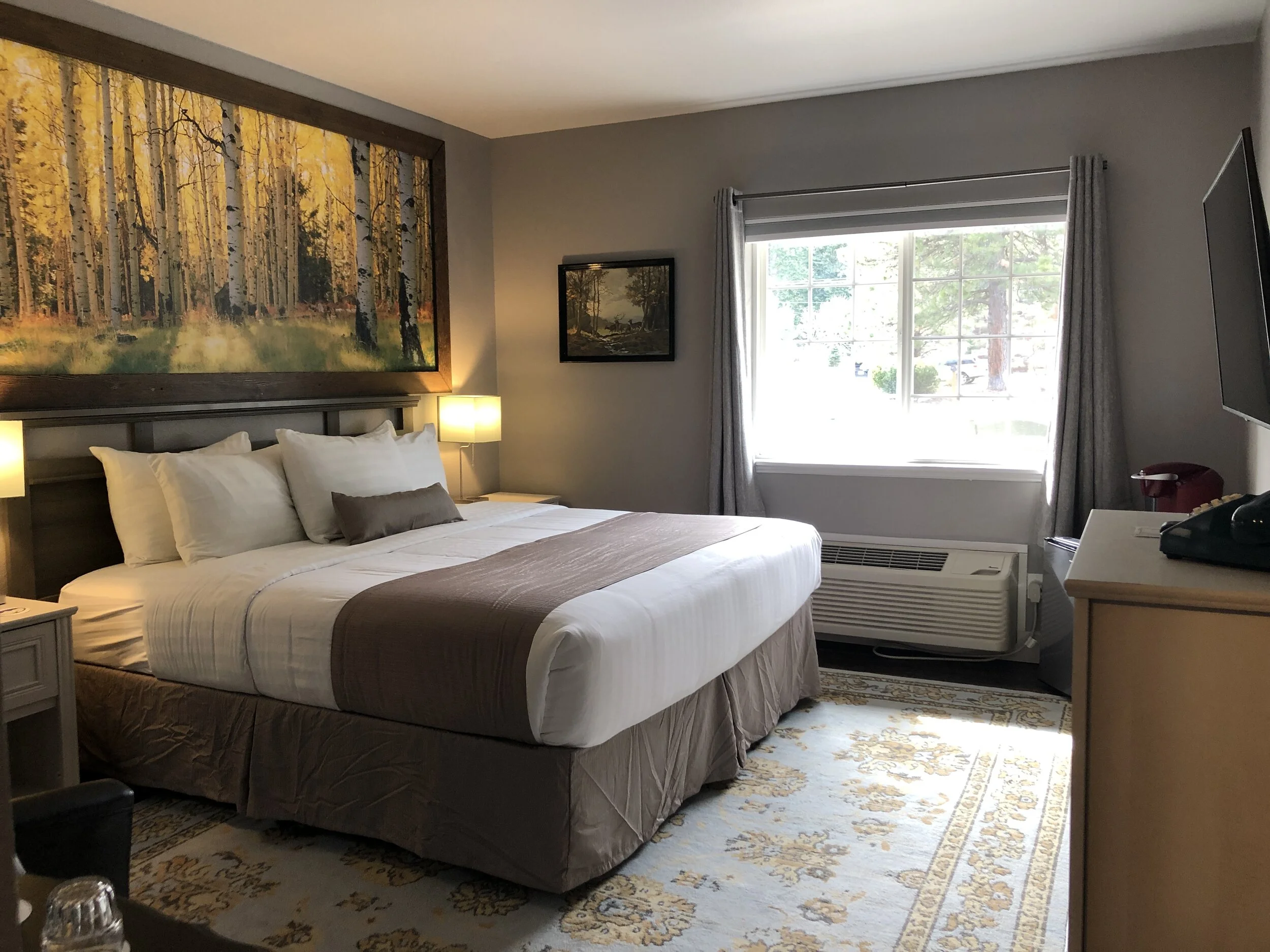 Contact — Blue Elk Inn