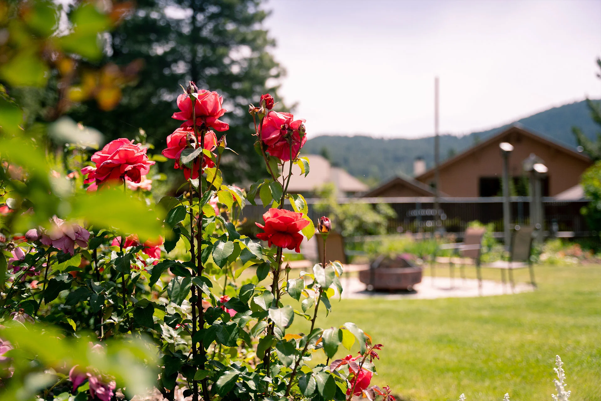Blue Elk Inn