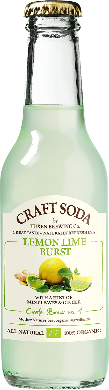 CRAFT SODA — CRAFT By TUXEN BREWING Co.
