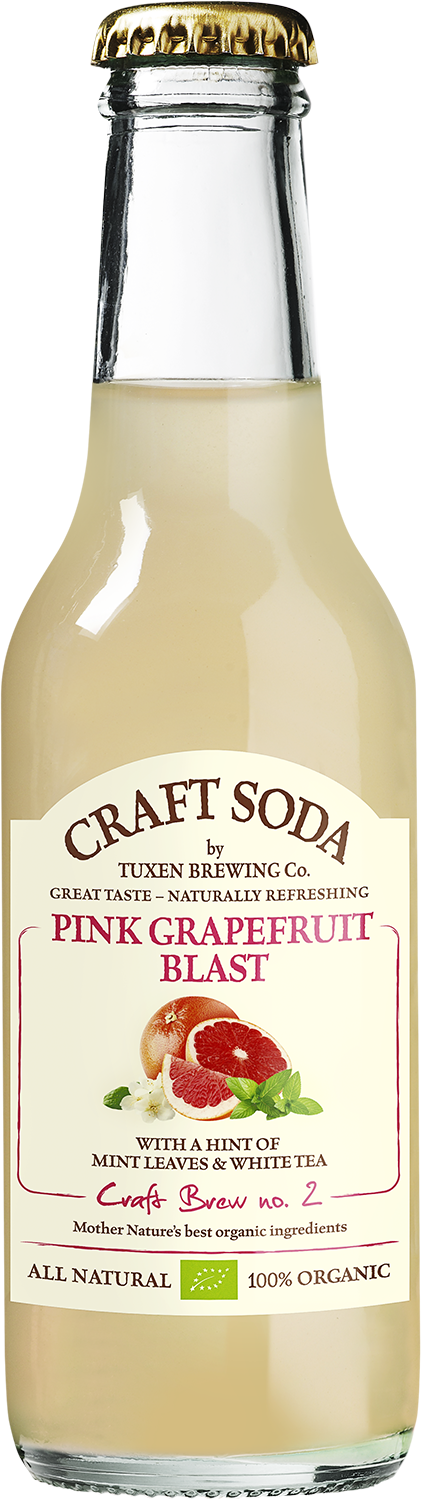 CRAFT SODA — CRAFT By TUXEN BREWING Co.