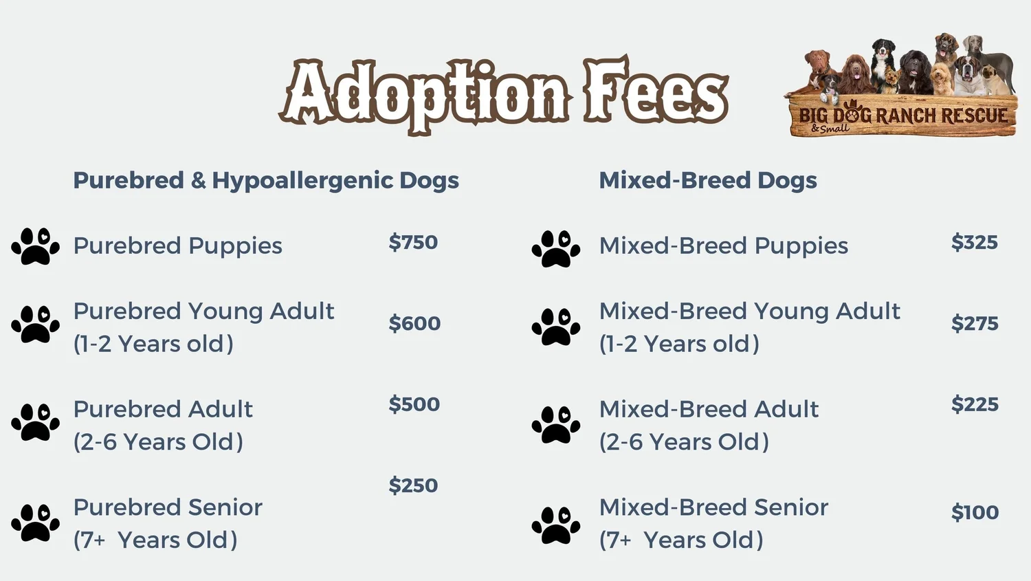 Adopt A Dog