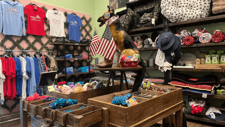 Dog Rescue | Big Dog Ranch Rescue