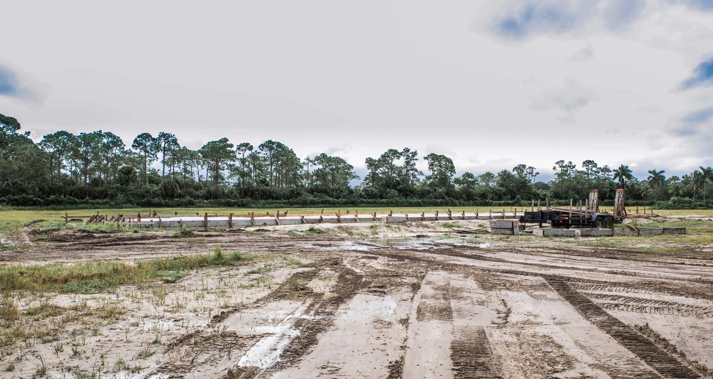 Veteran Dog Training