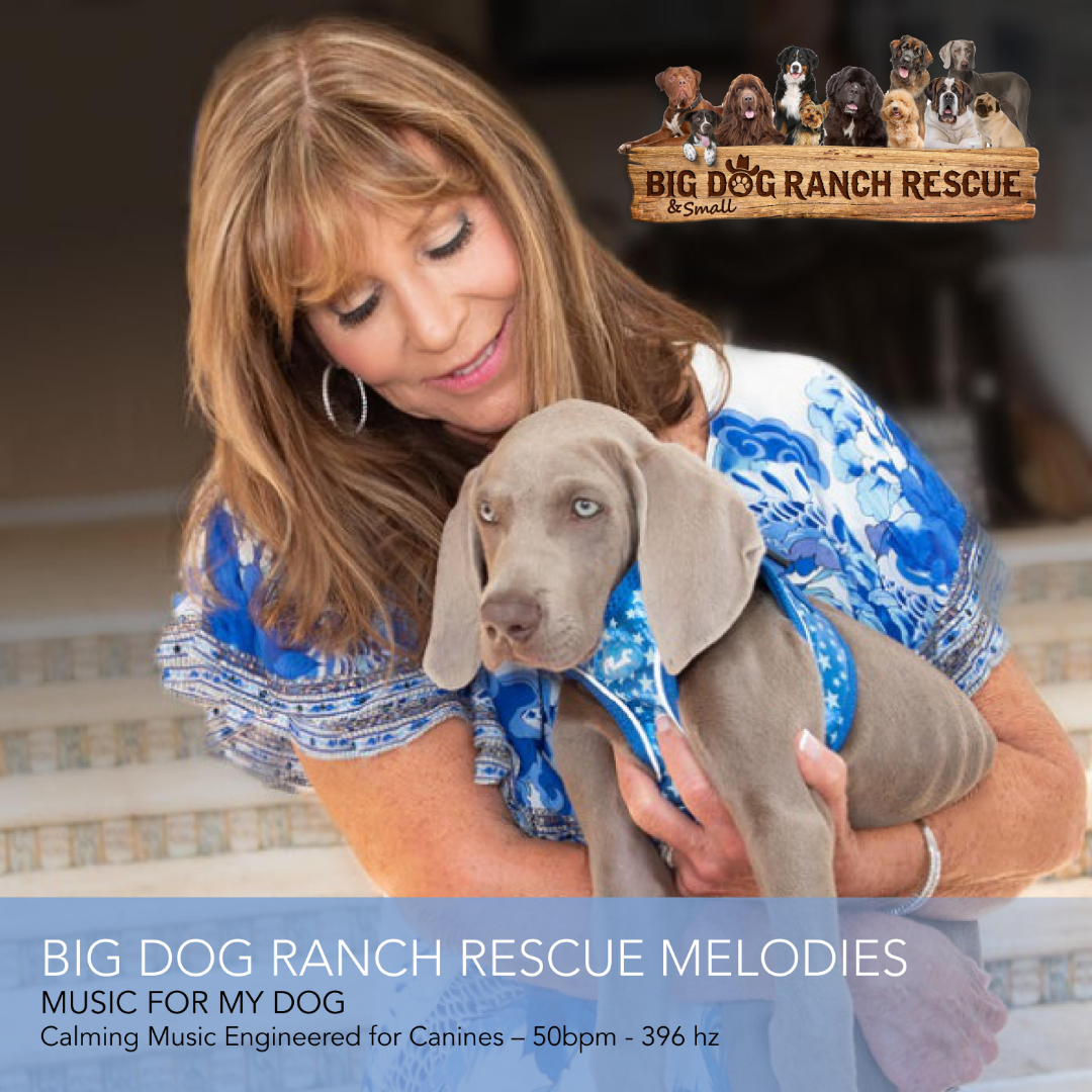 Big Dog Ranch Rescue
