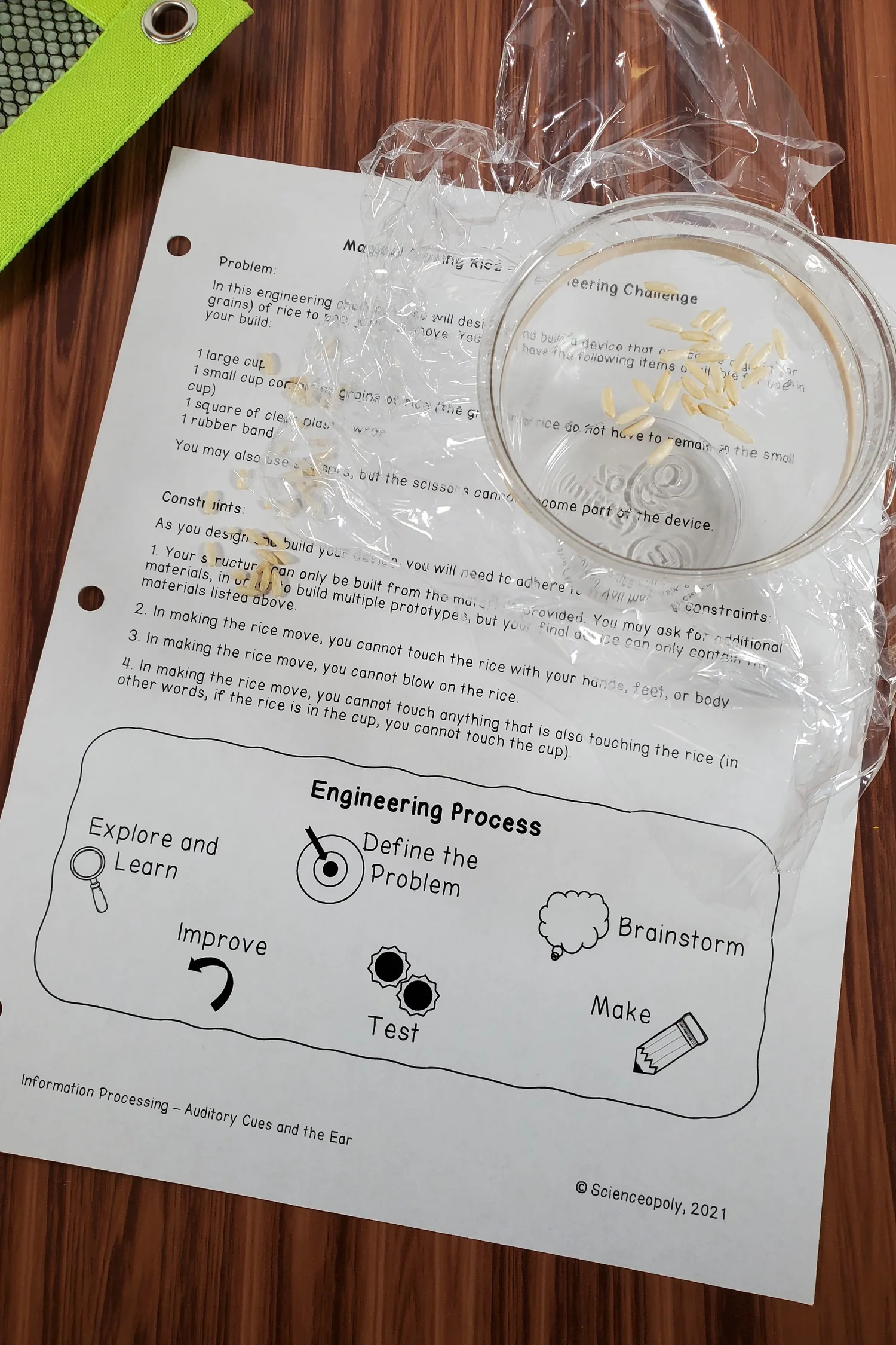 Sound Waves and Sensory Receptors- Using Inquiry Science to Create a ...