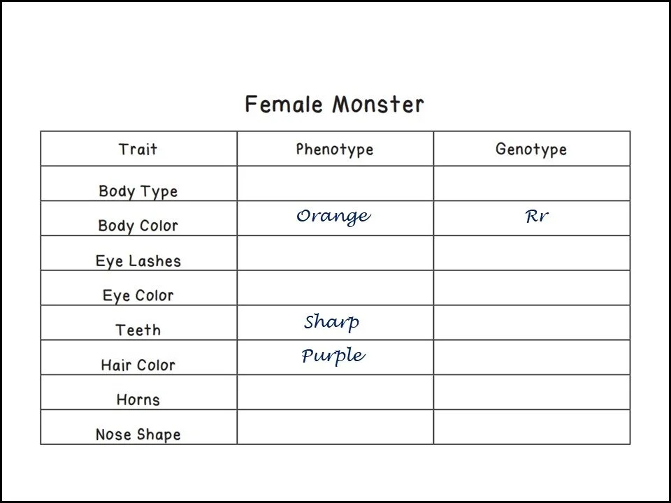 Fun Interactive Science Models for Middle School Genetics - Scienceopoly