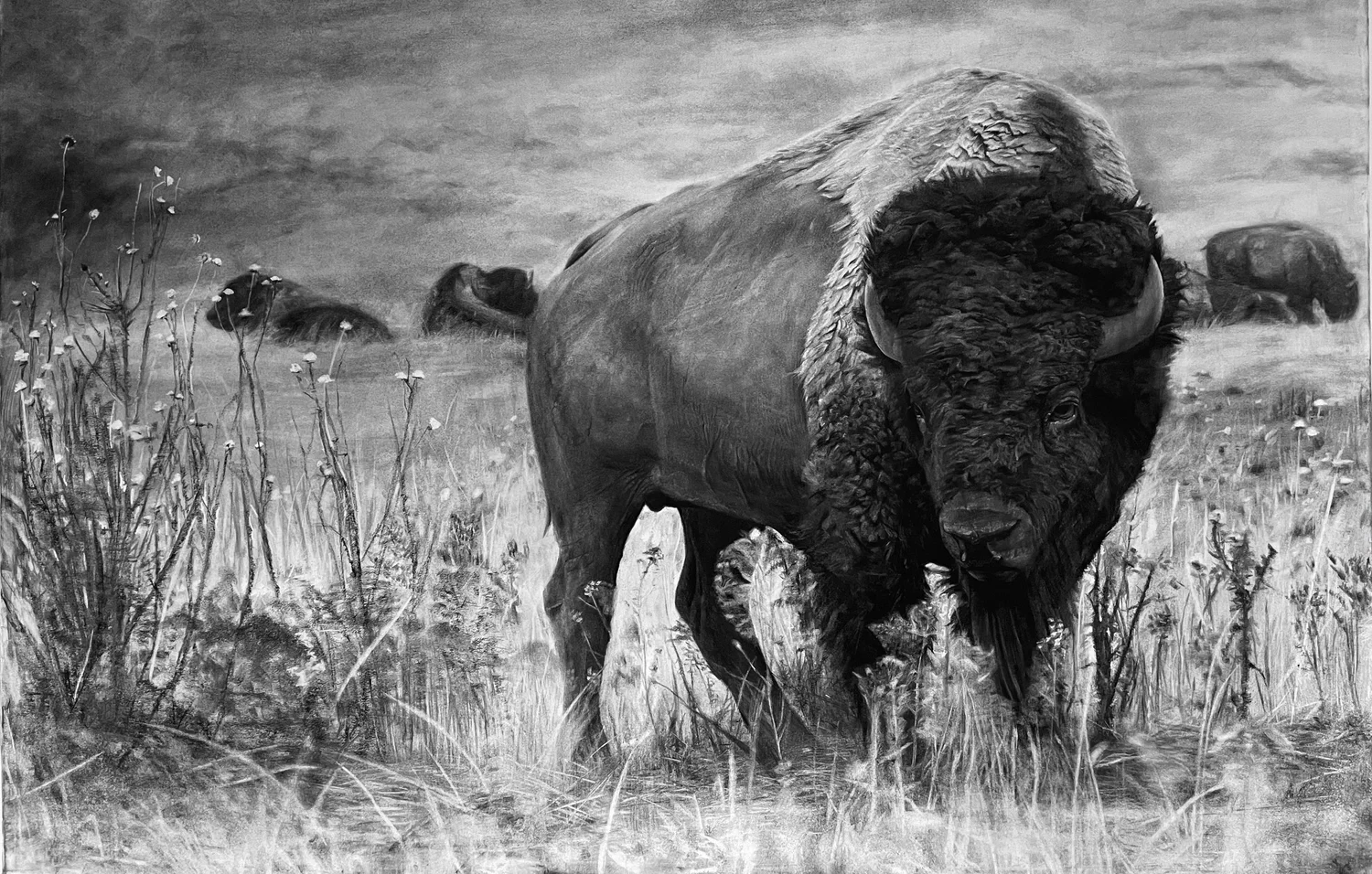 ARTWORK — JONATHAN NOON