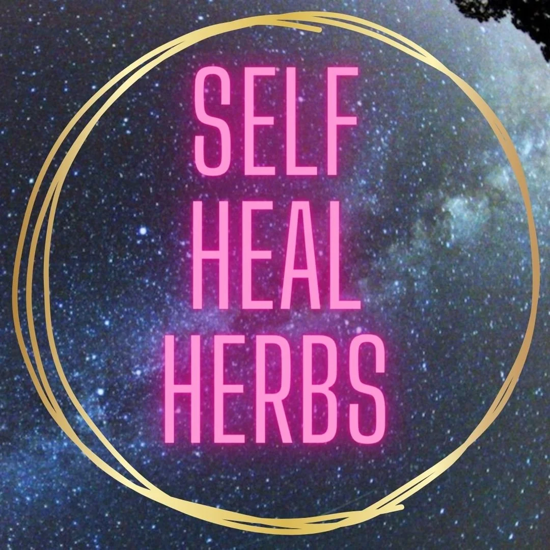 Ancestral Healing For White Folks Spring 2022 Self Heal Herbs ancestral-healing-for-white-folks-spring-2022-self-heal-herbs