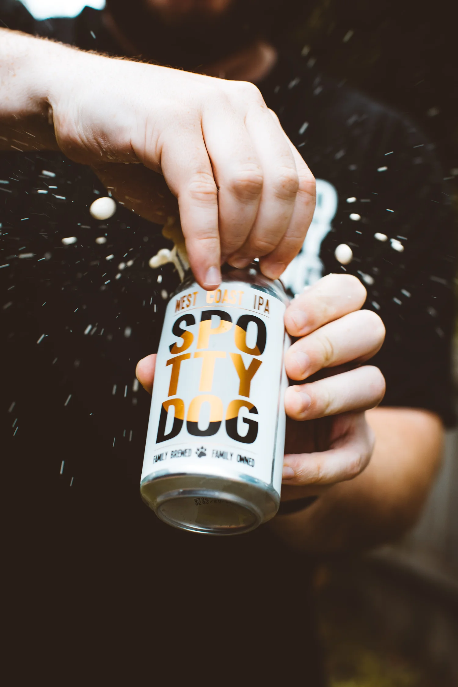Spotty Dog Brewers