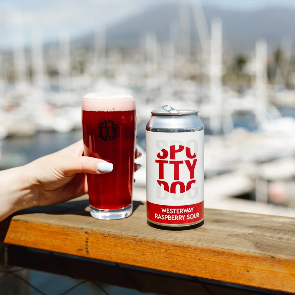 Spotty Dog Brewery and Taphouse Tasmania