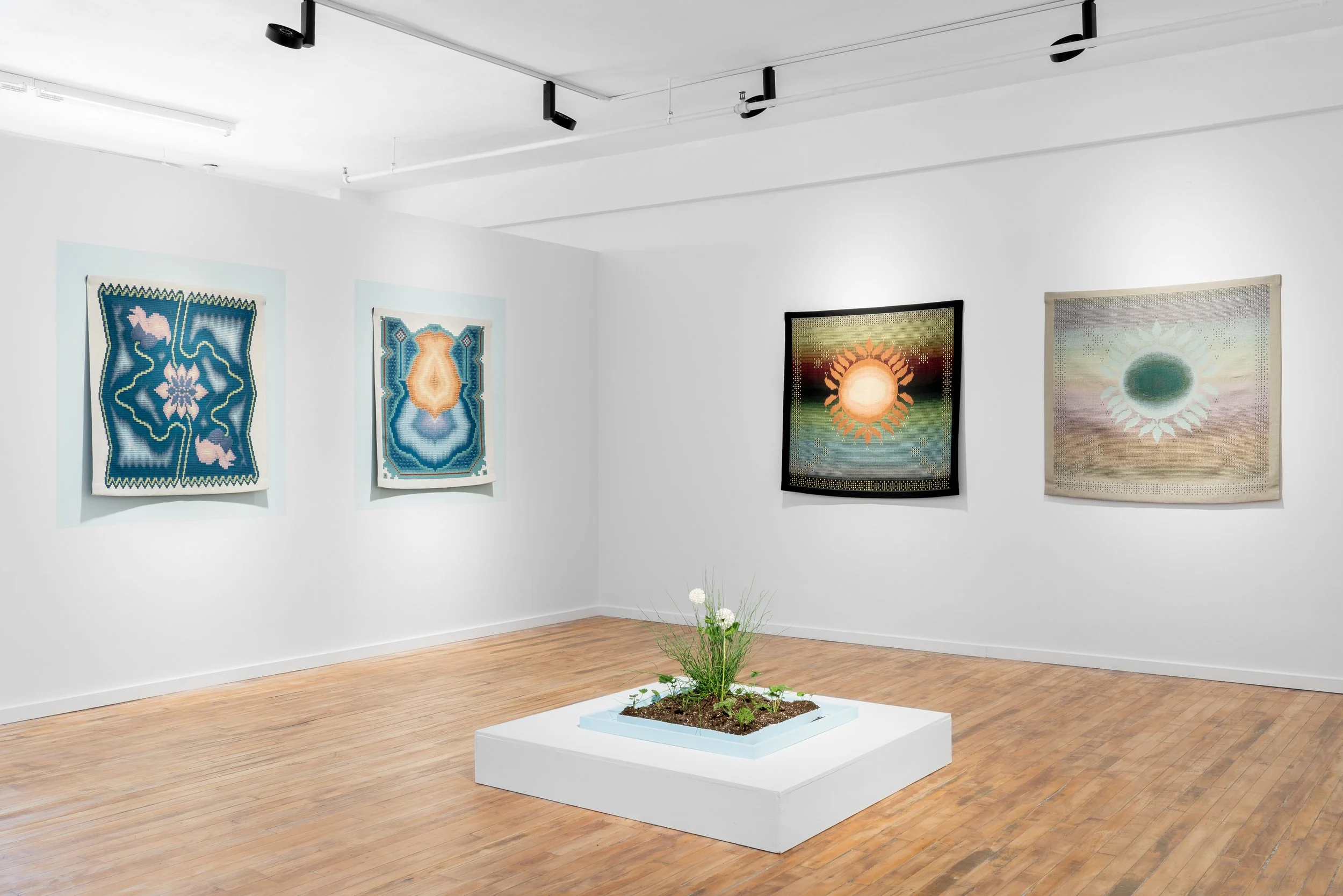 Shaheer Zazai | Allow me to Sow and See the Garden I Become — Patel Brown