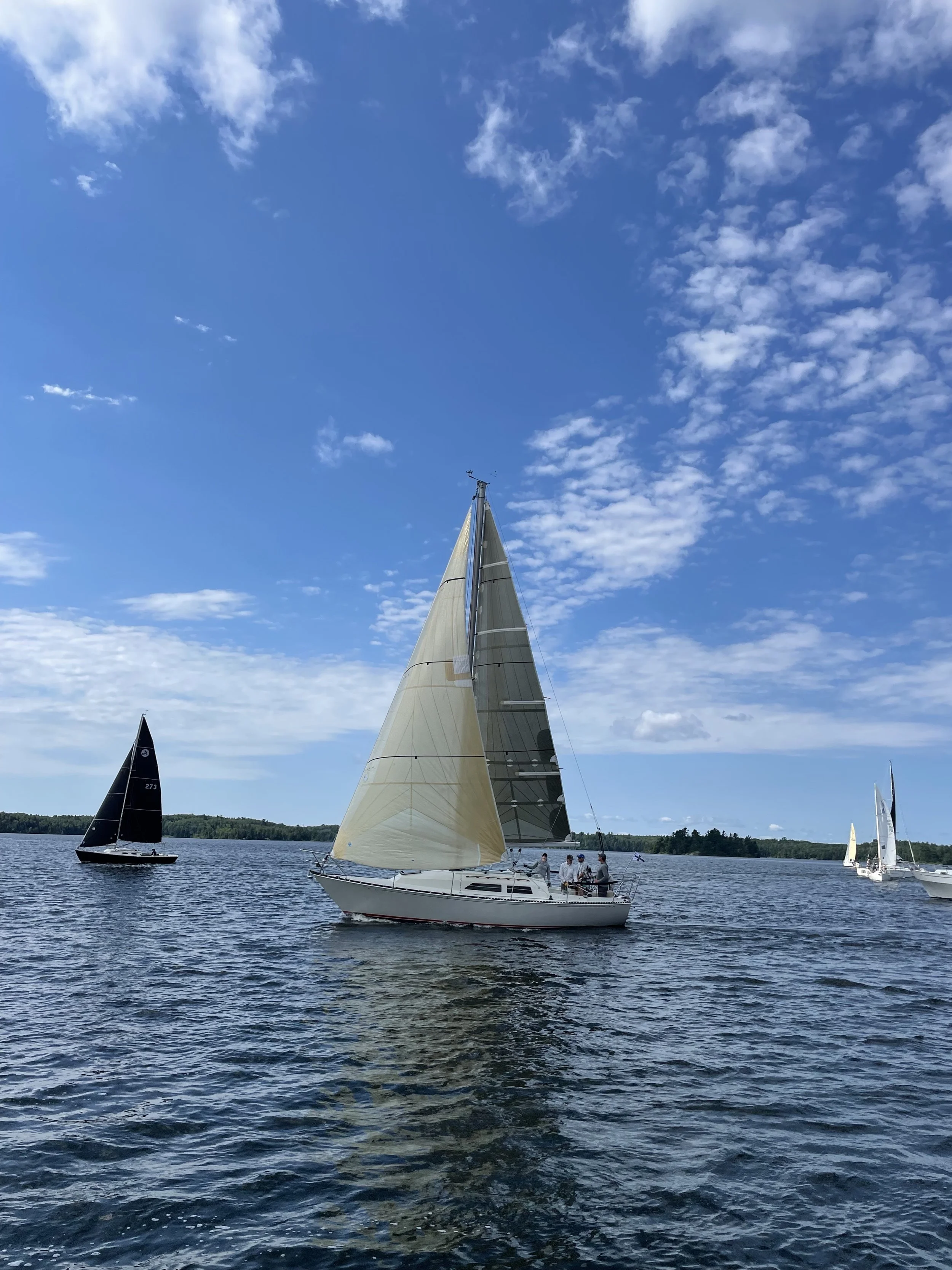 LOWISA 56 Gallery — LOWISA