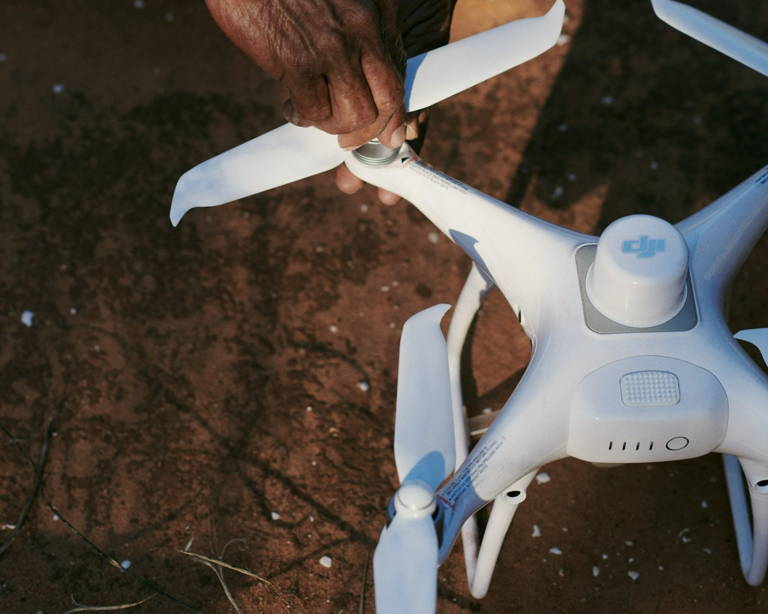 What is cultural mapping & how can it benefit your organisation? — Winyama