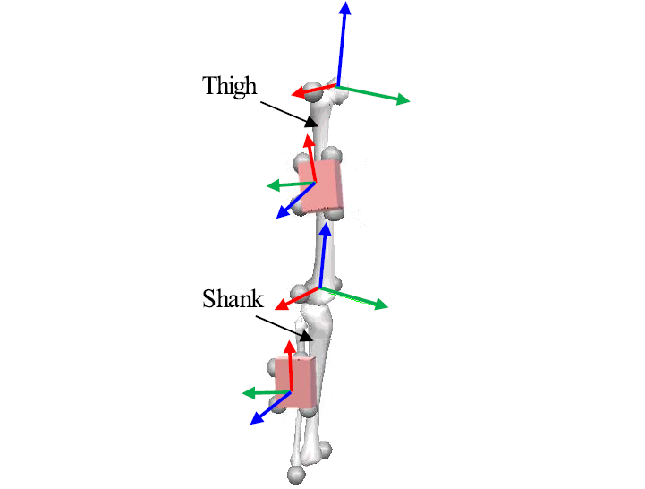SageMotion - Sensor-to-Segment Alignment