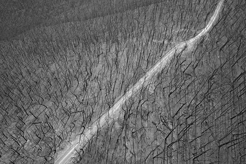 Aftermath: Bushfire Landscape Photographs by John Gollings