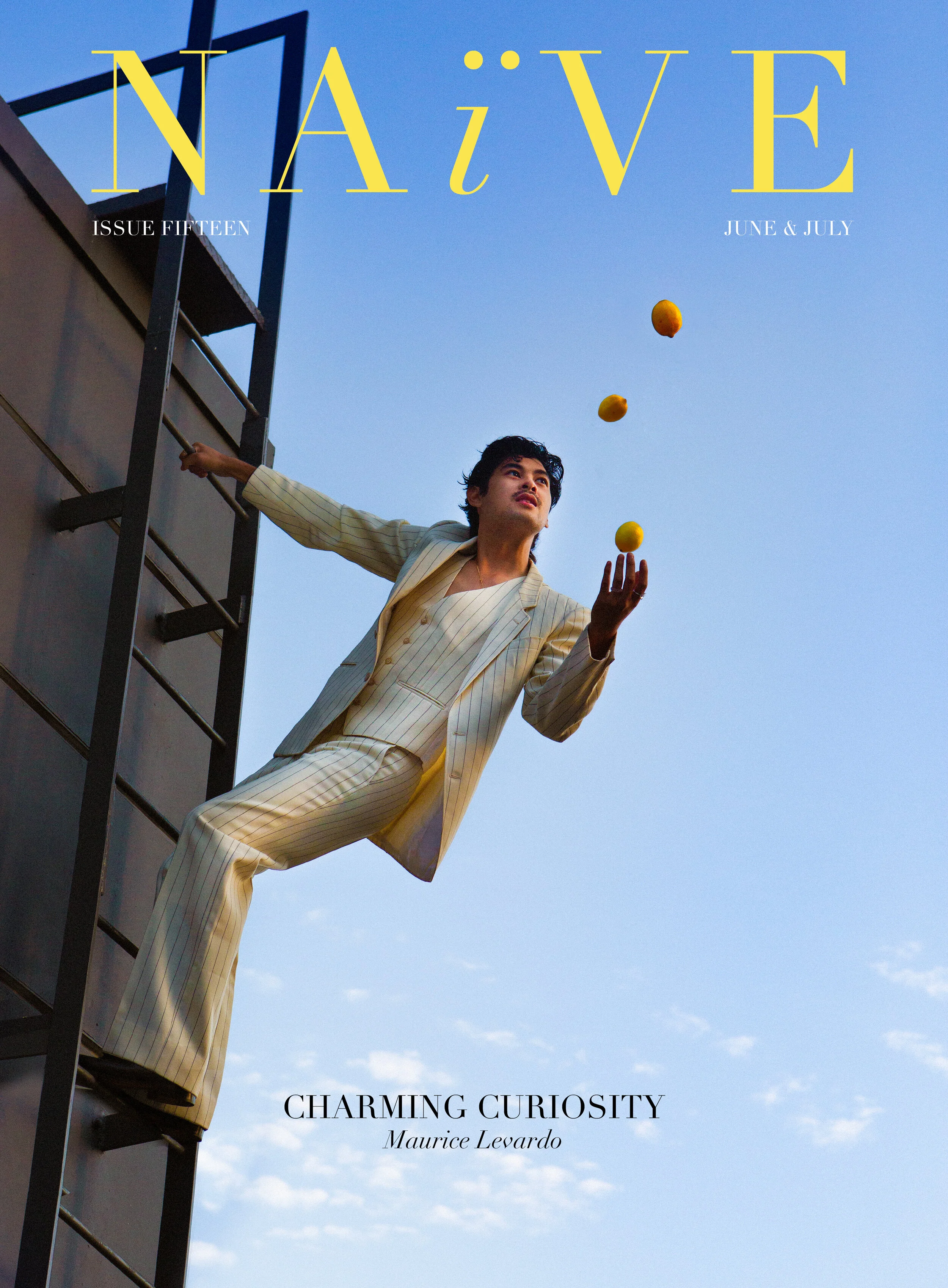 Charming Curiosity — The Naïve Journal