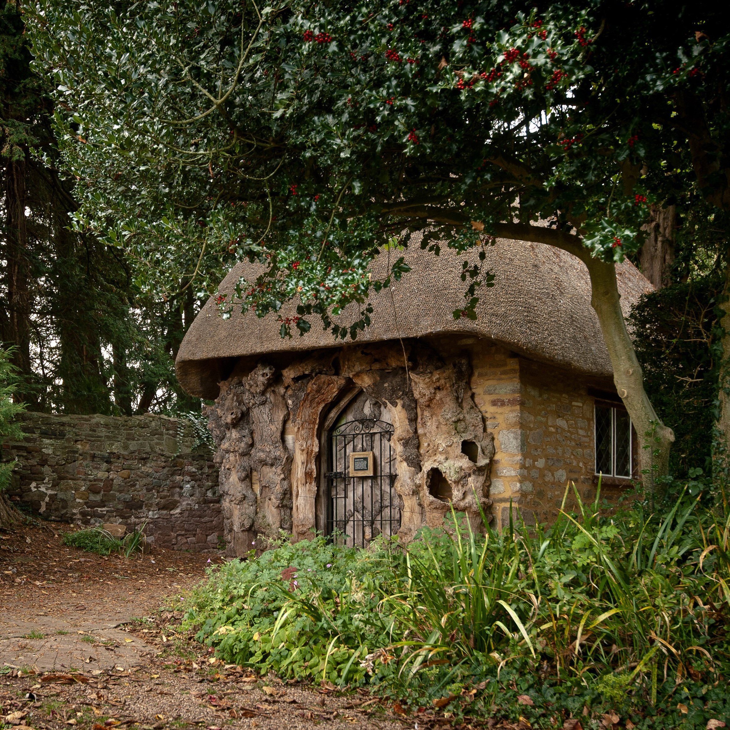 Learning visits and resources | Dr Jenner's House