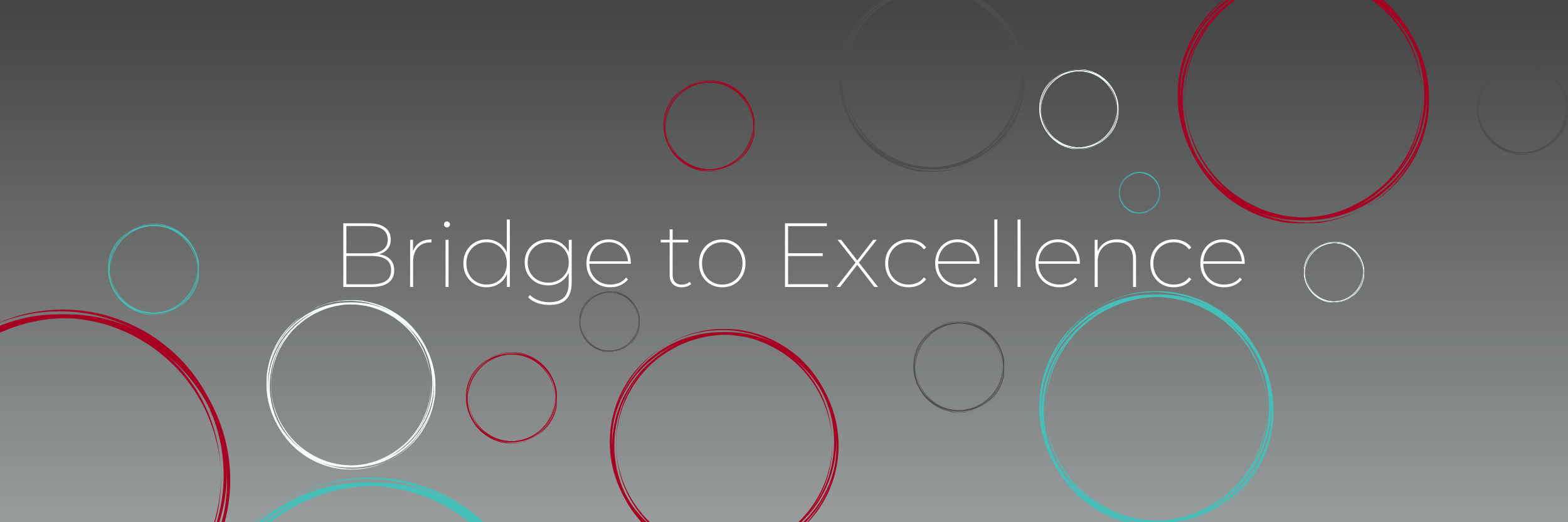 Bridge to Excellence — The Bridge Youth Center