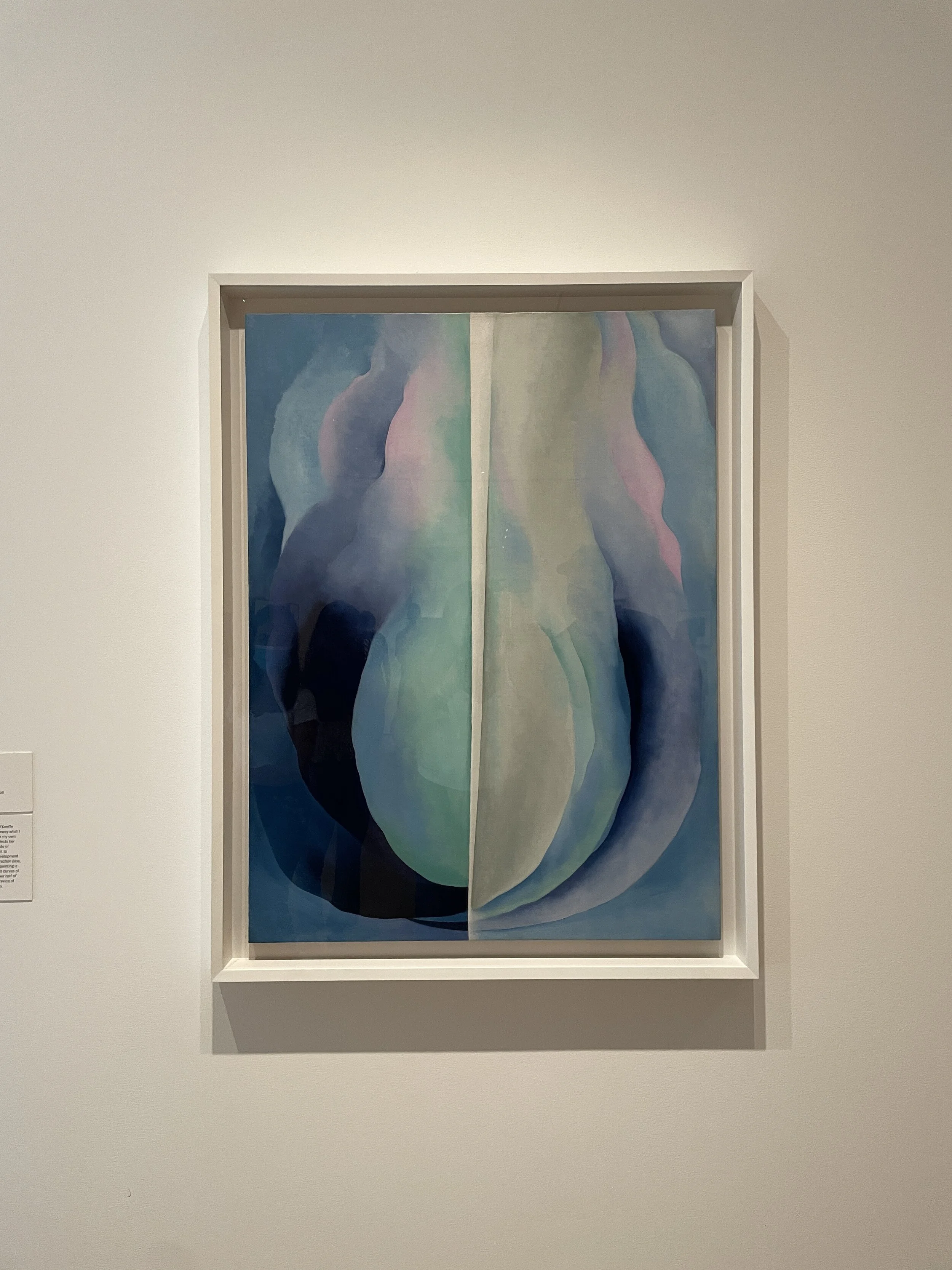 Diary — Akaila Reid