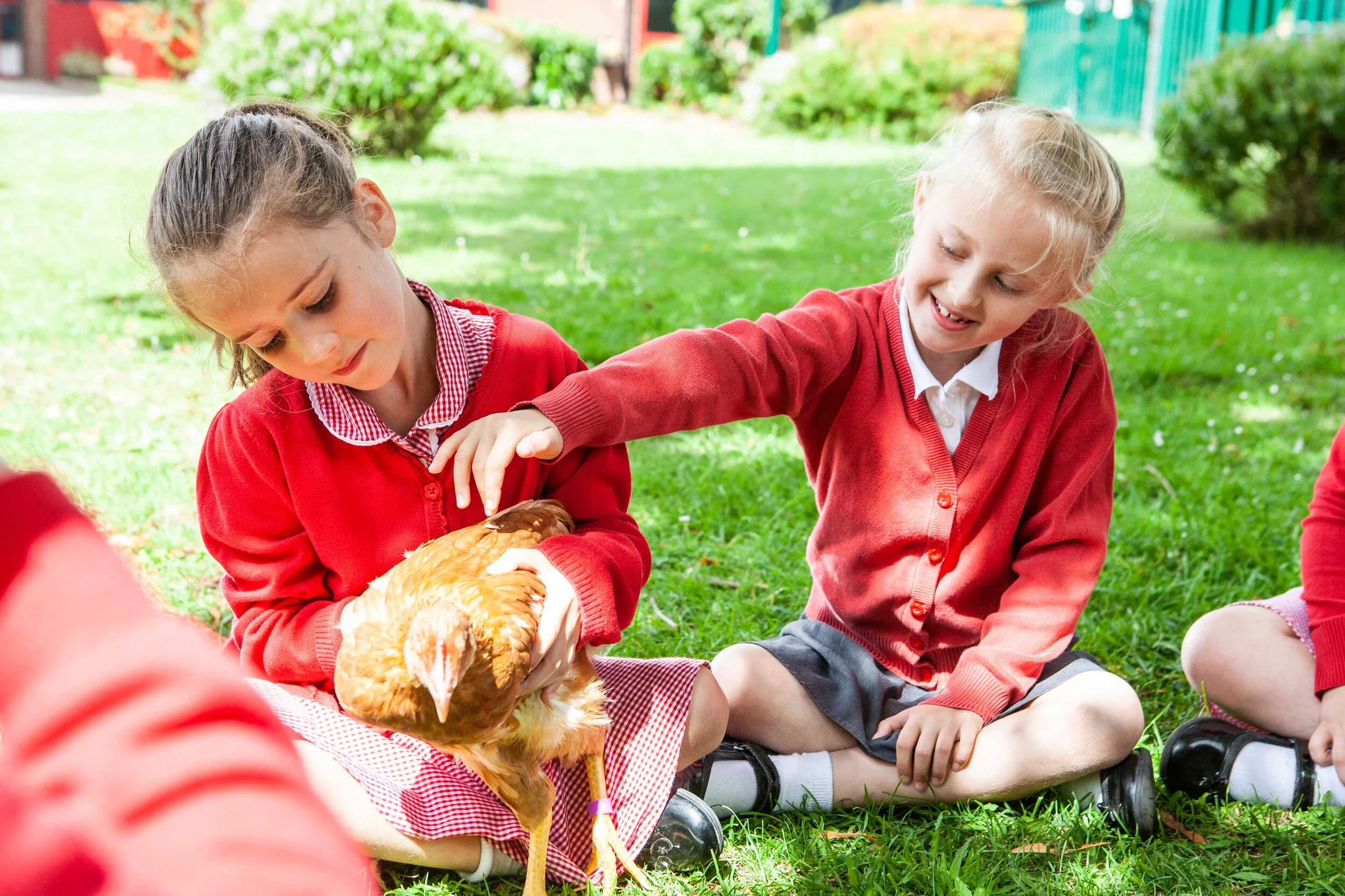 General 4 — Robert Bakewell Primary School