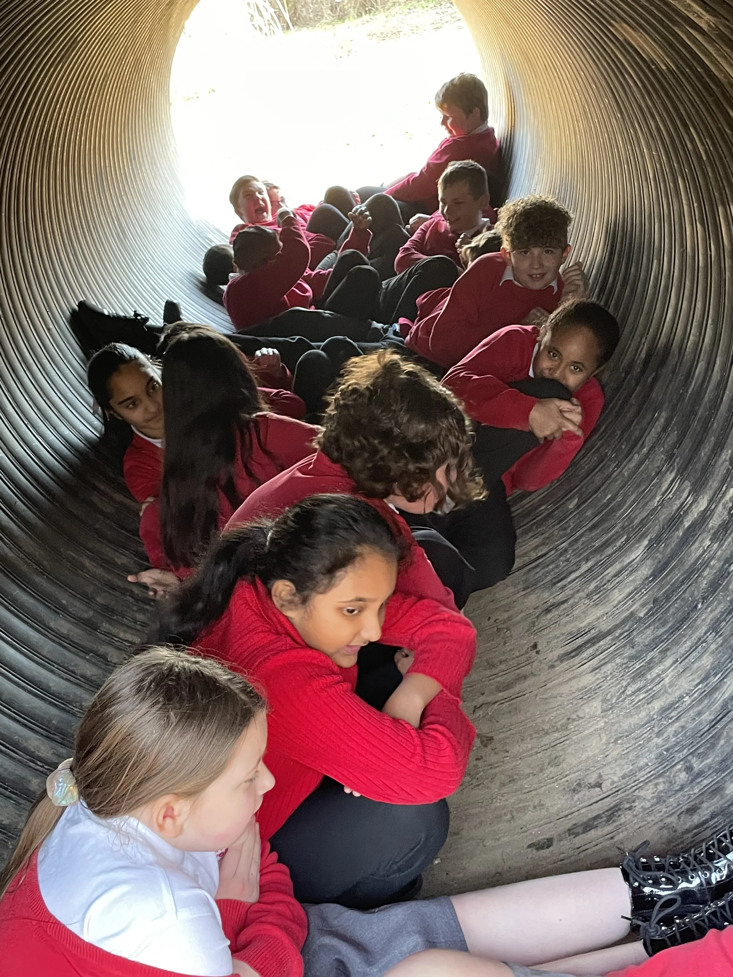 Rowan — Robert Bakewell Primary School