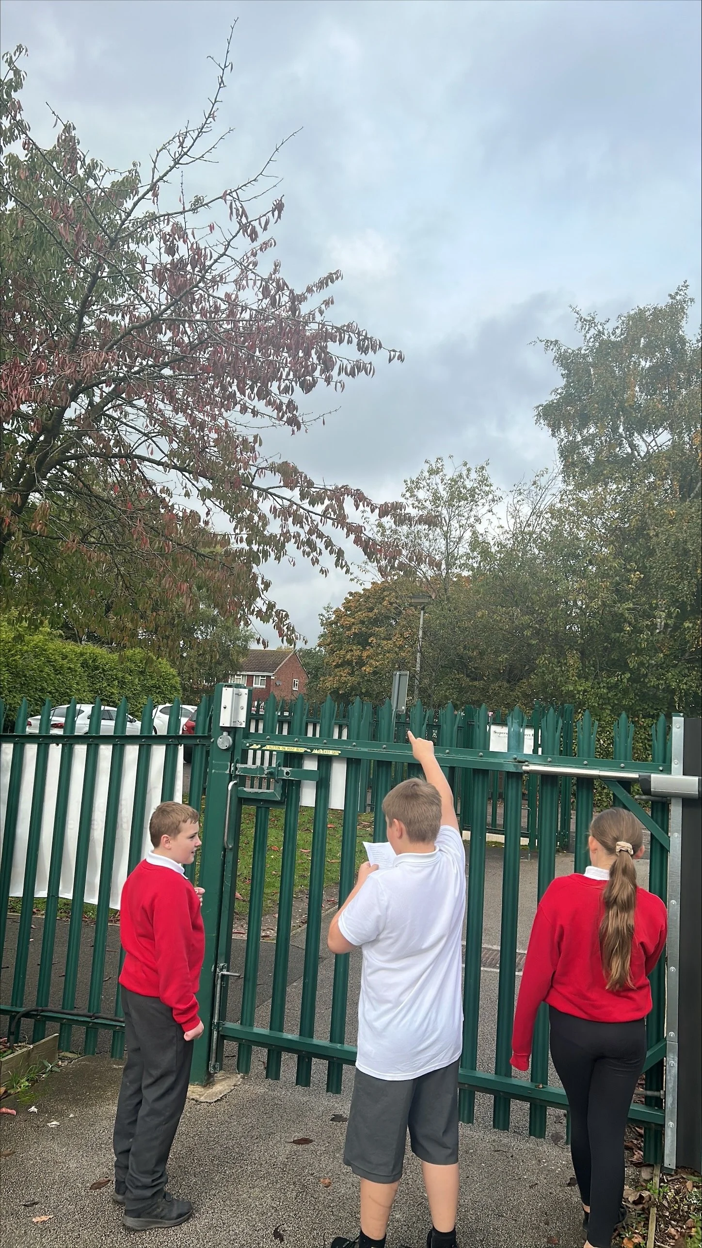 Rowan — Robert Bakewell Primary School