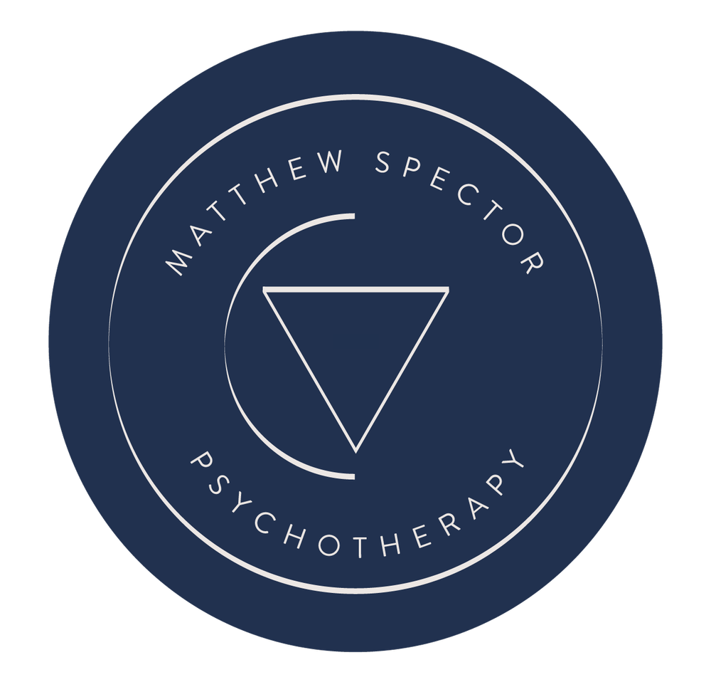 Matthew Spector, LMFT | Liberation-Focused Therapy | Los Angeles, CA