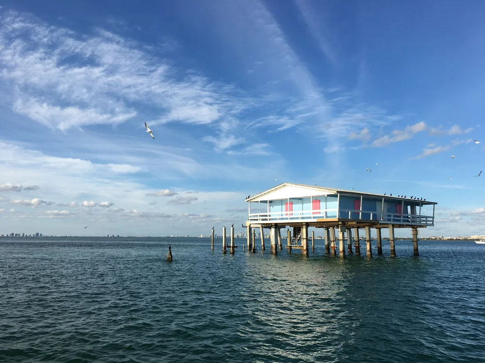 Ohio Ocean Foundation